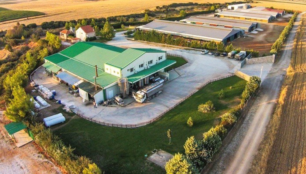 Αλμυρός: Oι Γερμανοί βελτίωσαν τις εξαγωγές της Greek Family Farm ...